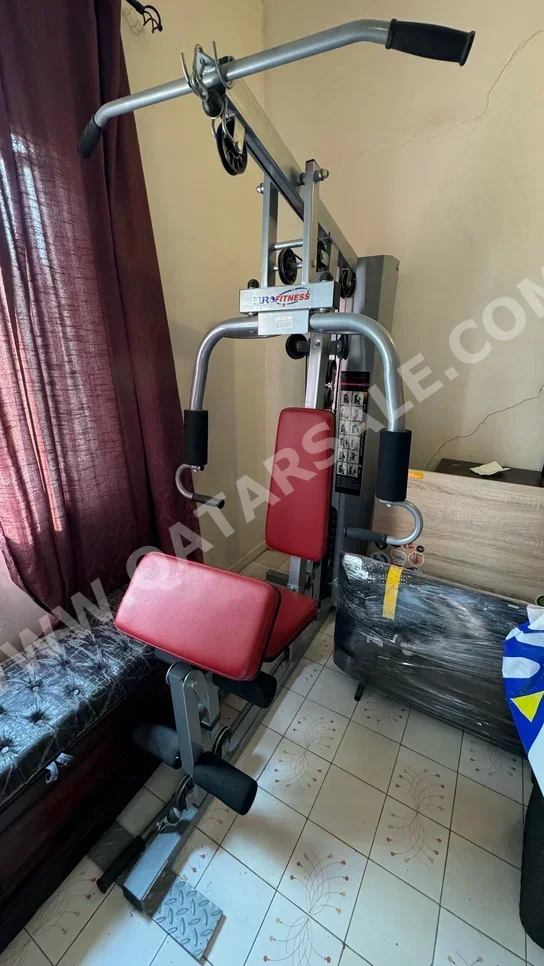 Gym Equipment Machines - Body Weight - Euro Fitness - Red 2022 With ...