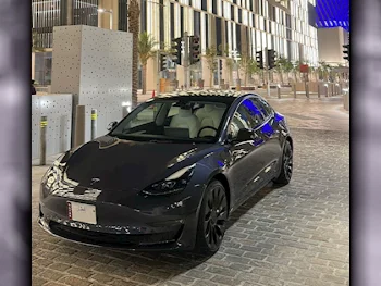 Tesla Model 3 Performance Gray 2022 For Sale in Qatar