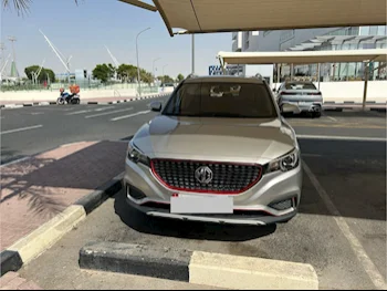 MG ZsT Silver 2020 For Sale in Qatar