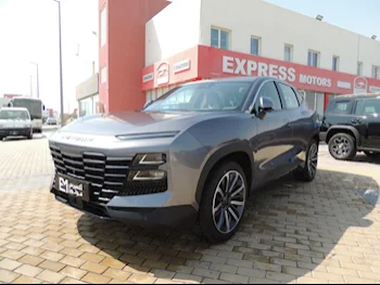 Jetour Dashing Flag Ship Gray 2024 For Sale in Qatar