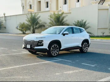 Jetour Dashing Flag Ship White 2025 For Sale in Qatar