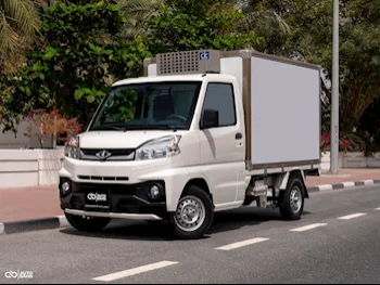 CMC Veryca VAN White For Rent in Qatar