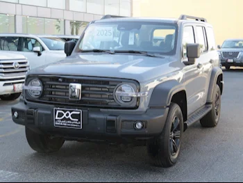 GWM Tank 300 Gray 2025 For Sale in QAR