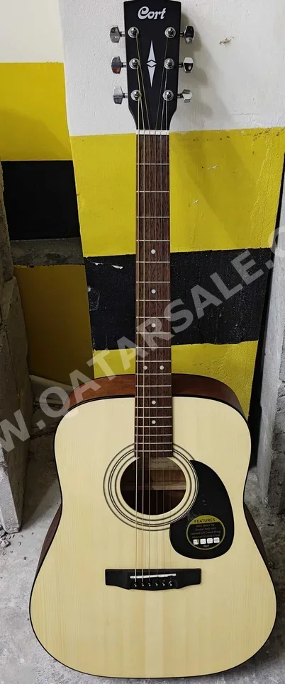 Classical Guitar 2021 Cort Qatar / For Professional Gray Matte For Sale ...