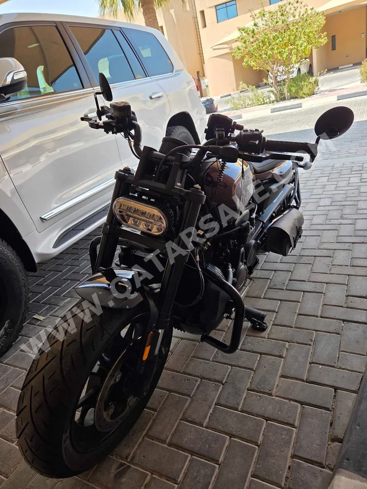 Harley Davidson SportSter S - 2021 - Color Maroon Cruiser For Sale in Qatar