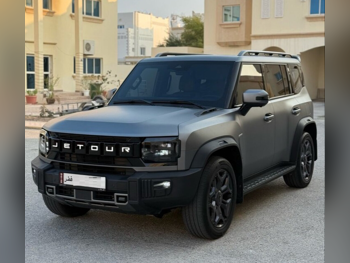 Jetour T2 Luxury Gray Matte 2024 For Sale in Qatar