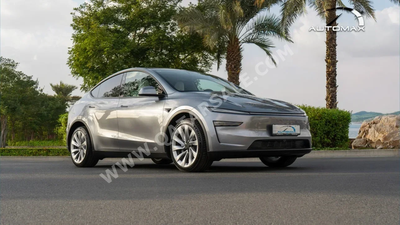 Tesla Model Y Long Range Silver 2025 For Sale in Qatar