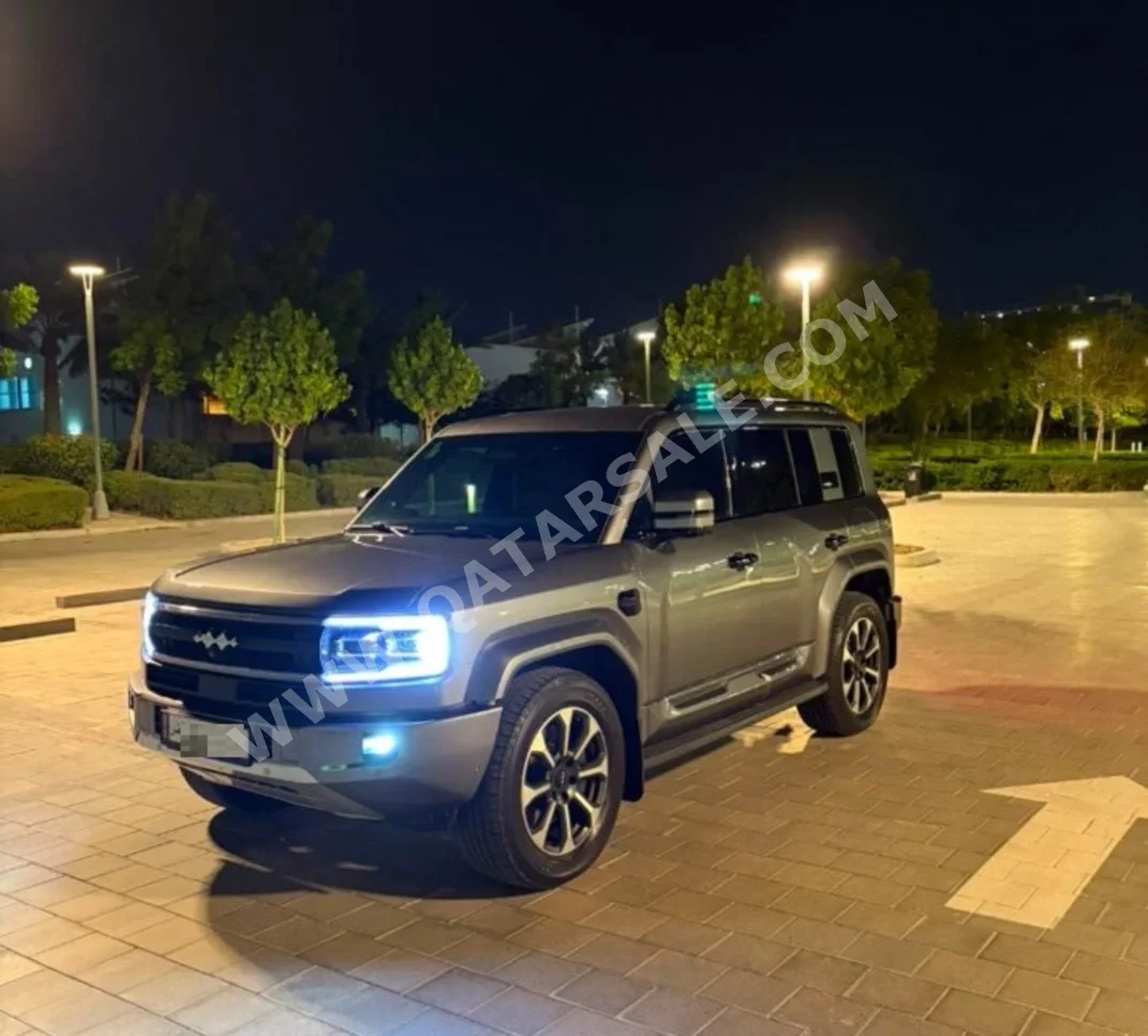 BYD Leopard 5 Ultra 5 Gray 2025 For Sale in Qatar